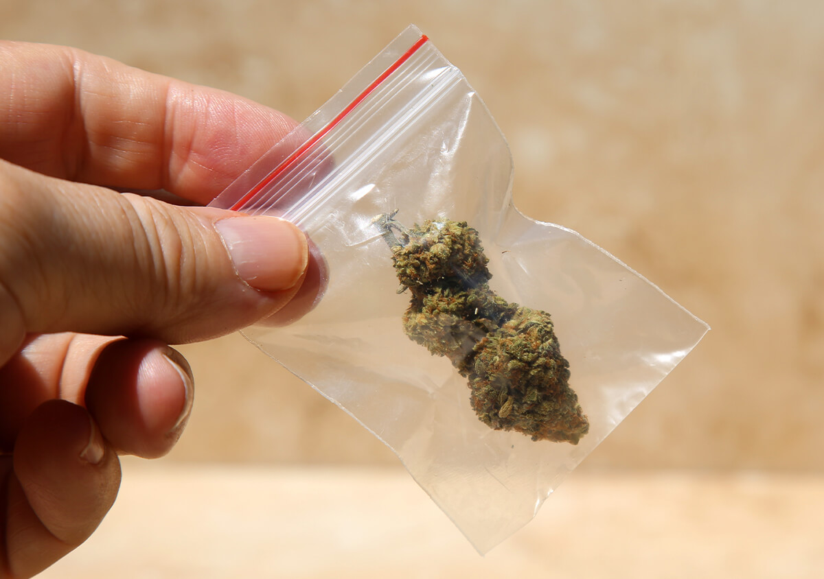 Dime Of Weed Look Like